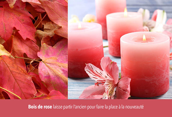 L’Oracle des couleurs - Youmna Tarazi